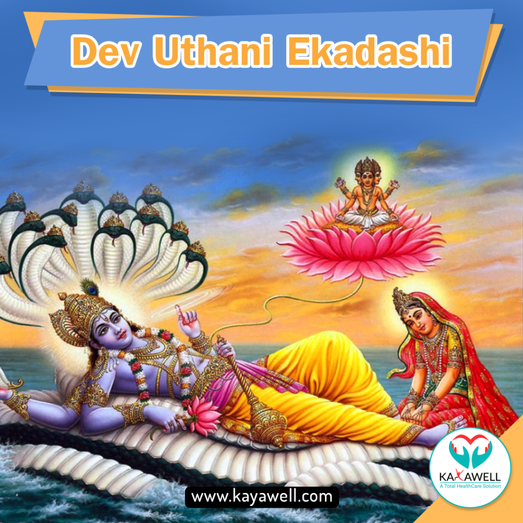Dev Uthani Ekadashi | Kayawell