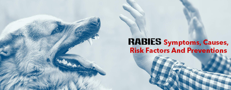 Rabies- symptoms, causes, risk factors and preventions | Kayawell