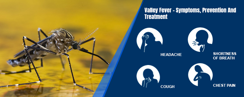 Valley Fever – Symptoms, Prevention and Treatment | KayaWell